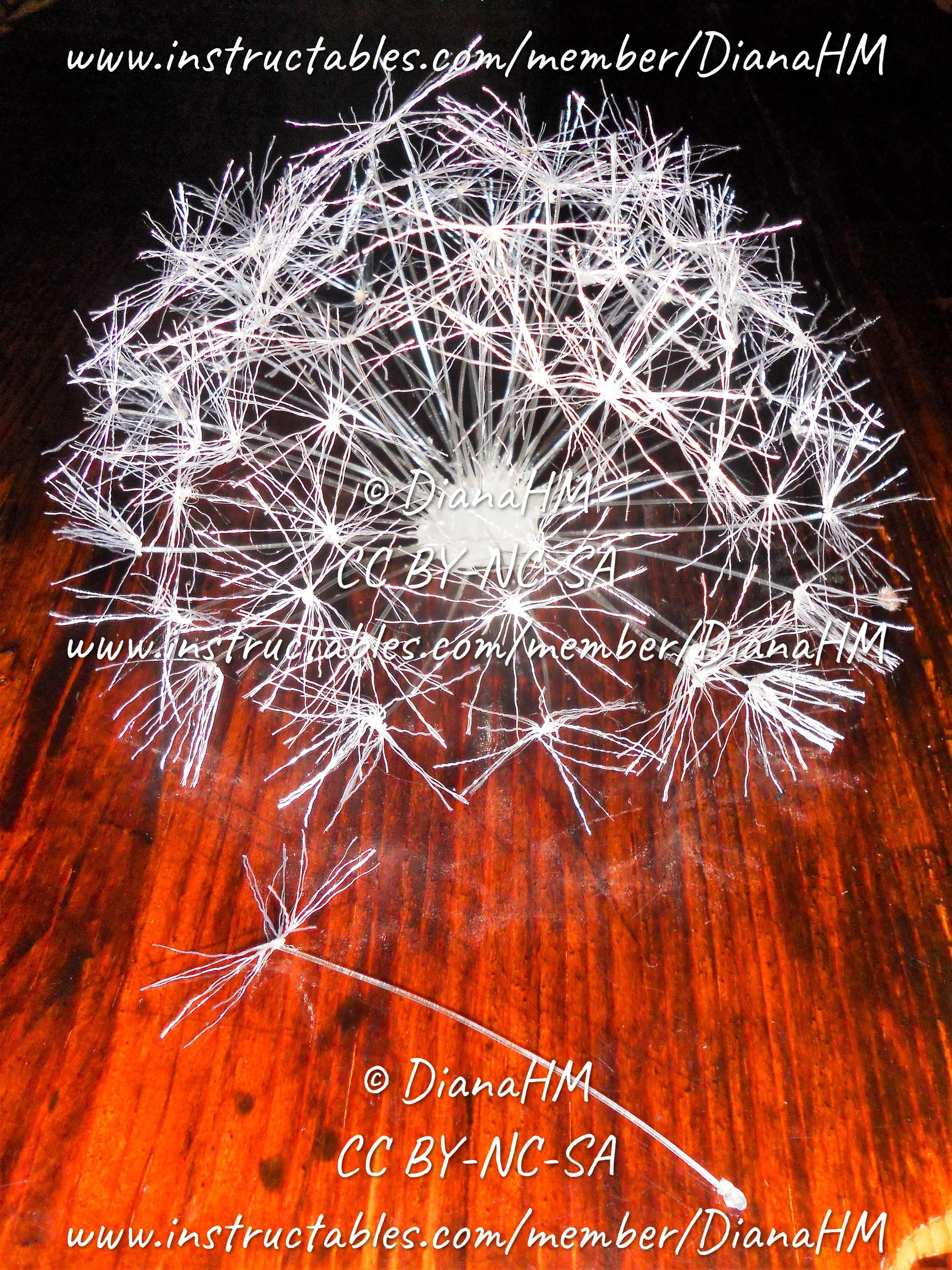 Delicate Dandelion Made of Ribbon, Glue and Fishing Line : 7 Steps ...