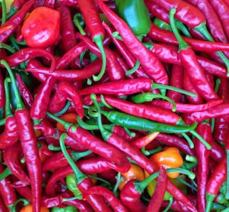 Very Hot Chilli Sauce : 8 Steps (with Pictures) - Instructables