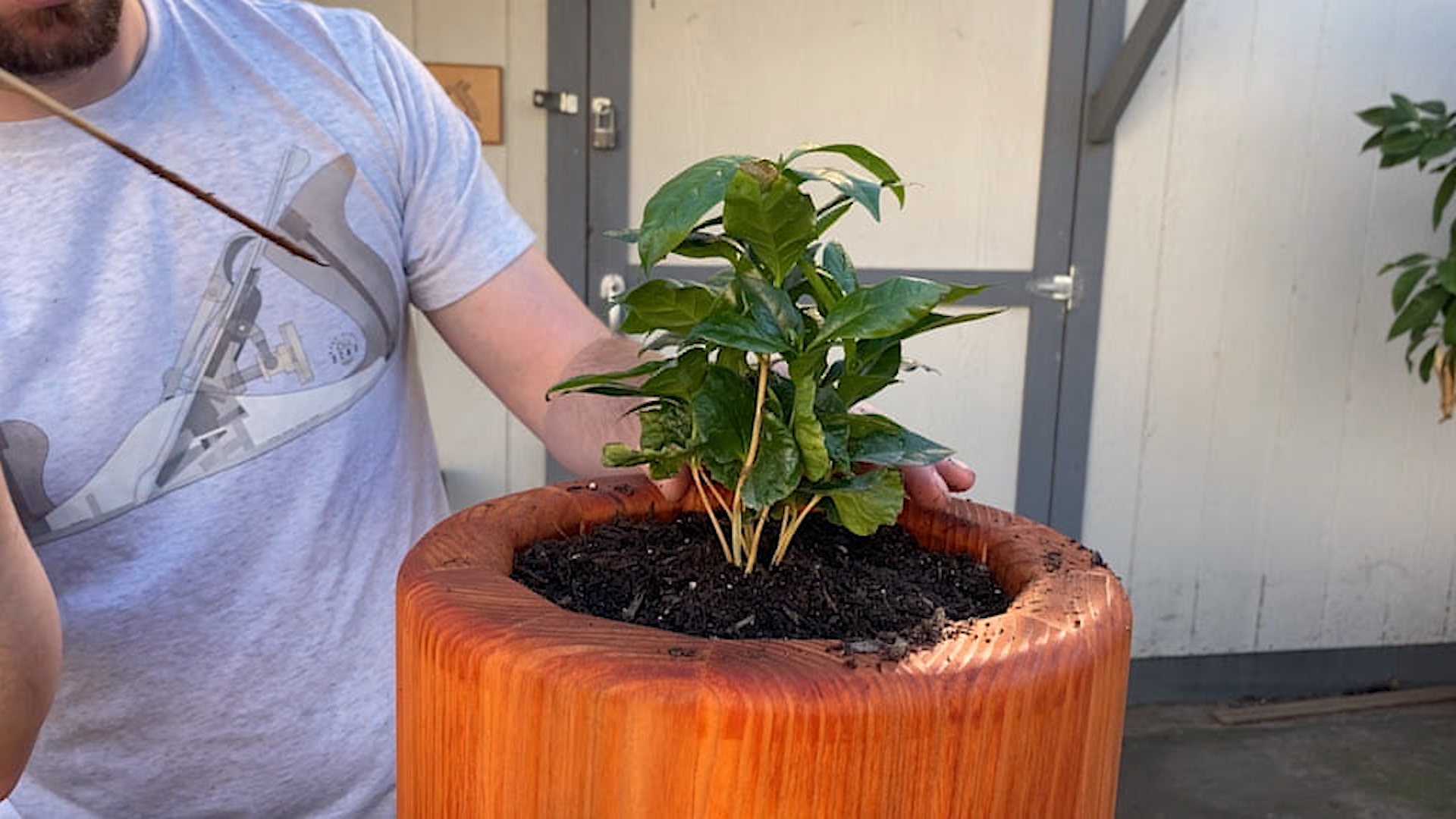 DIY Coffee Mug Shaped Planter : 17 Steps (with Pictures) - Instructables