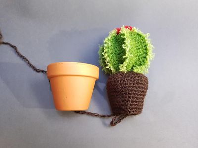 A Cuddly Cactus : 14 Steps (with Pictures) - Instructables