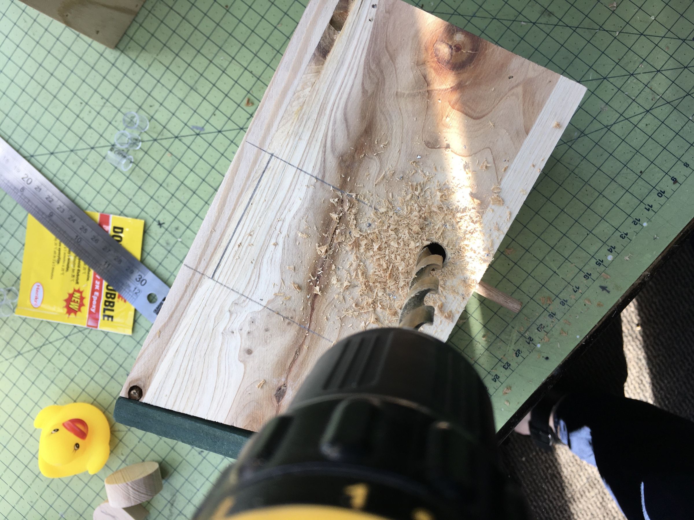 Make a WiFi Camera Bird Box - Cheepy Cheap! : 16 Steps (with Pictures ...