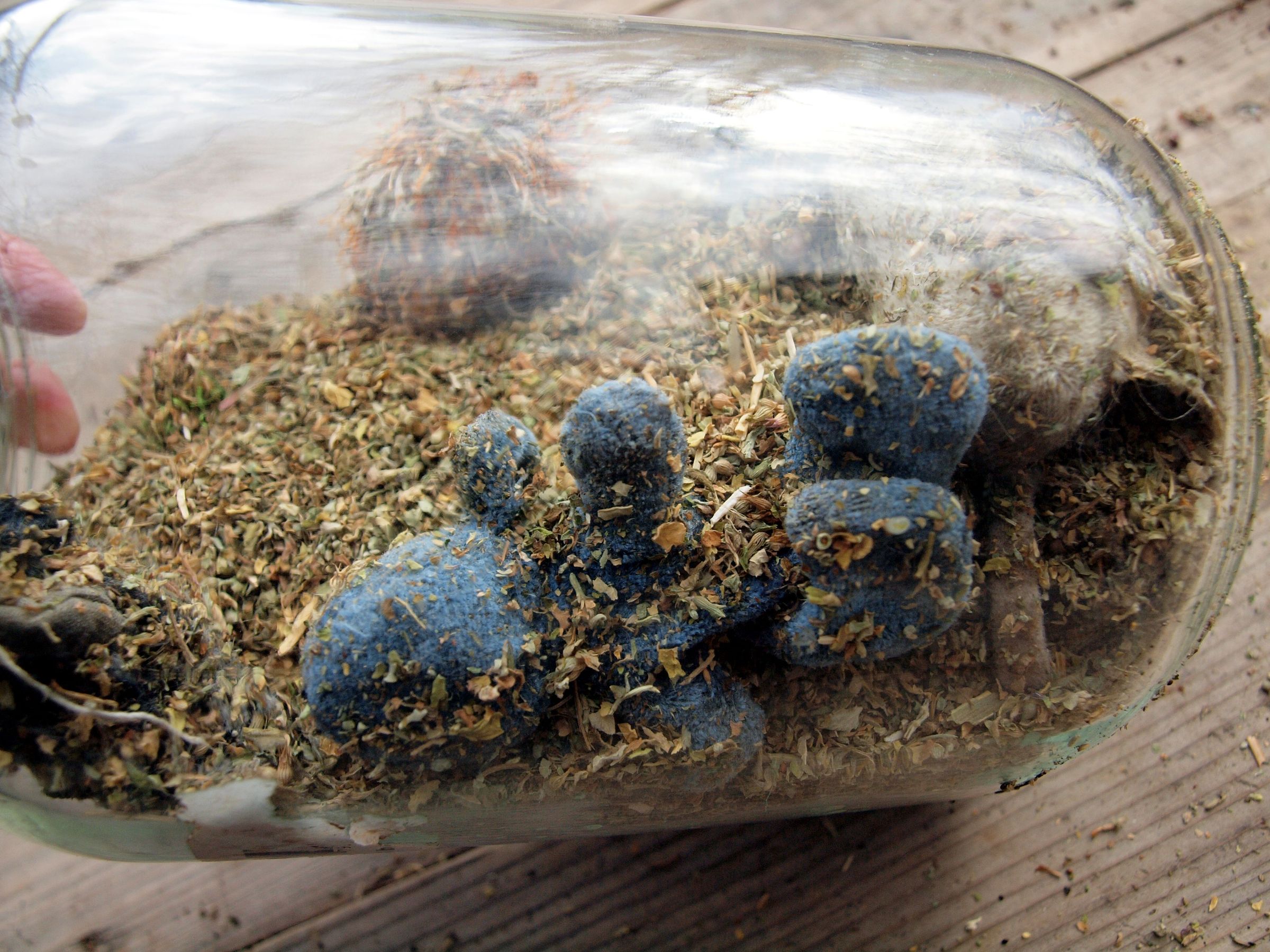 How to Renew Catnip Toys : 3 Steps (with Pictures) - Instructables