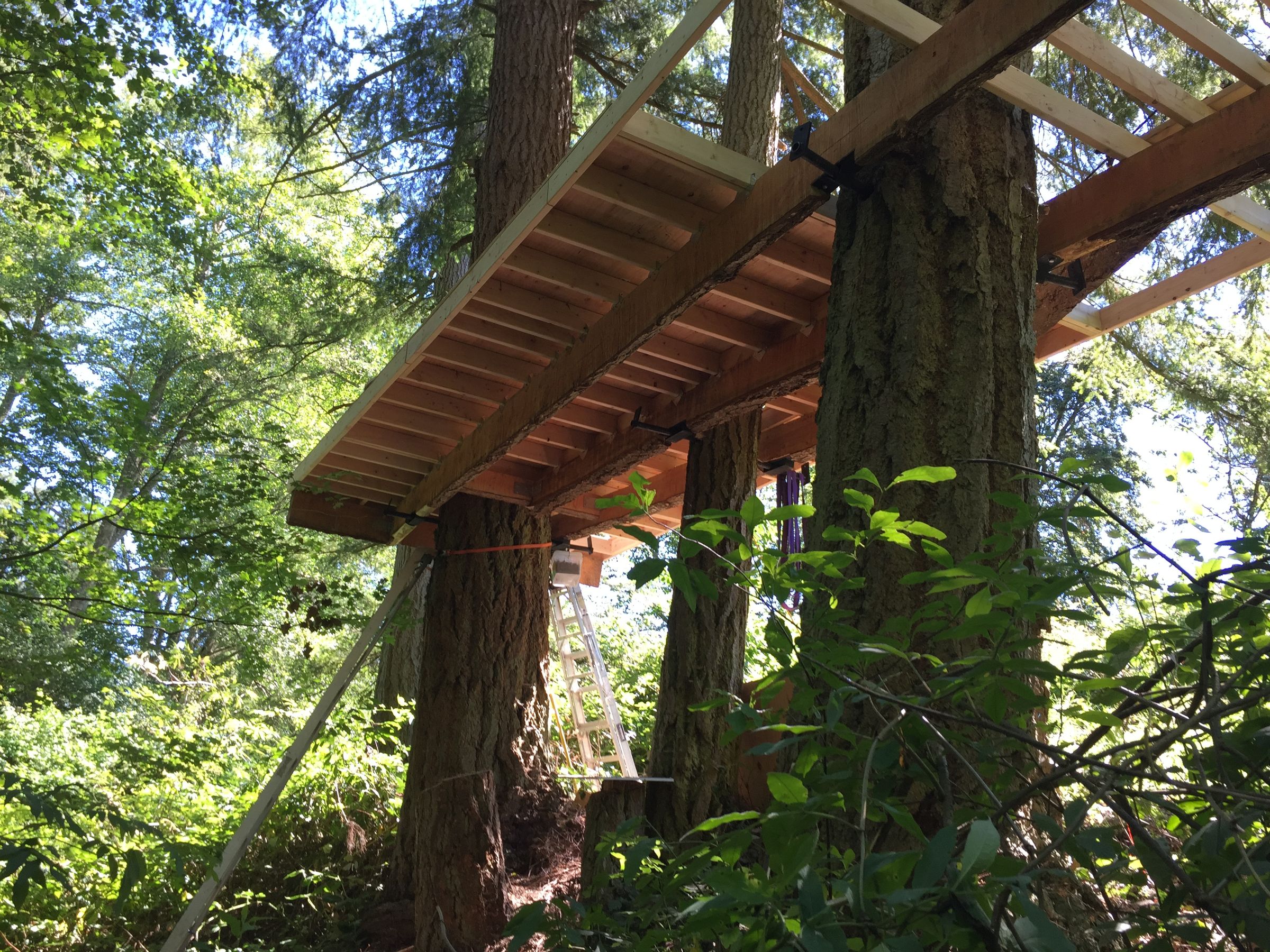 Treehouse Build : 10 Steps (with Pictures) - Instructables