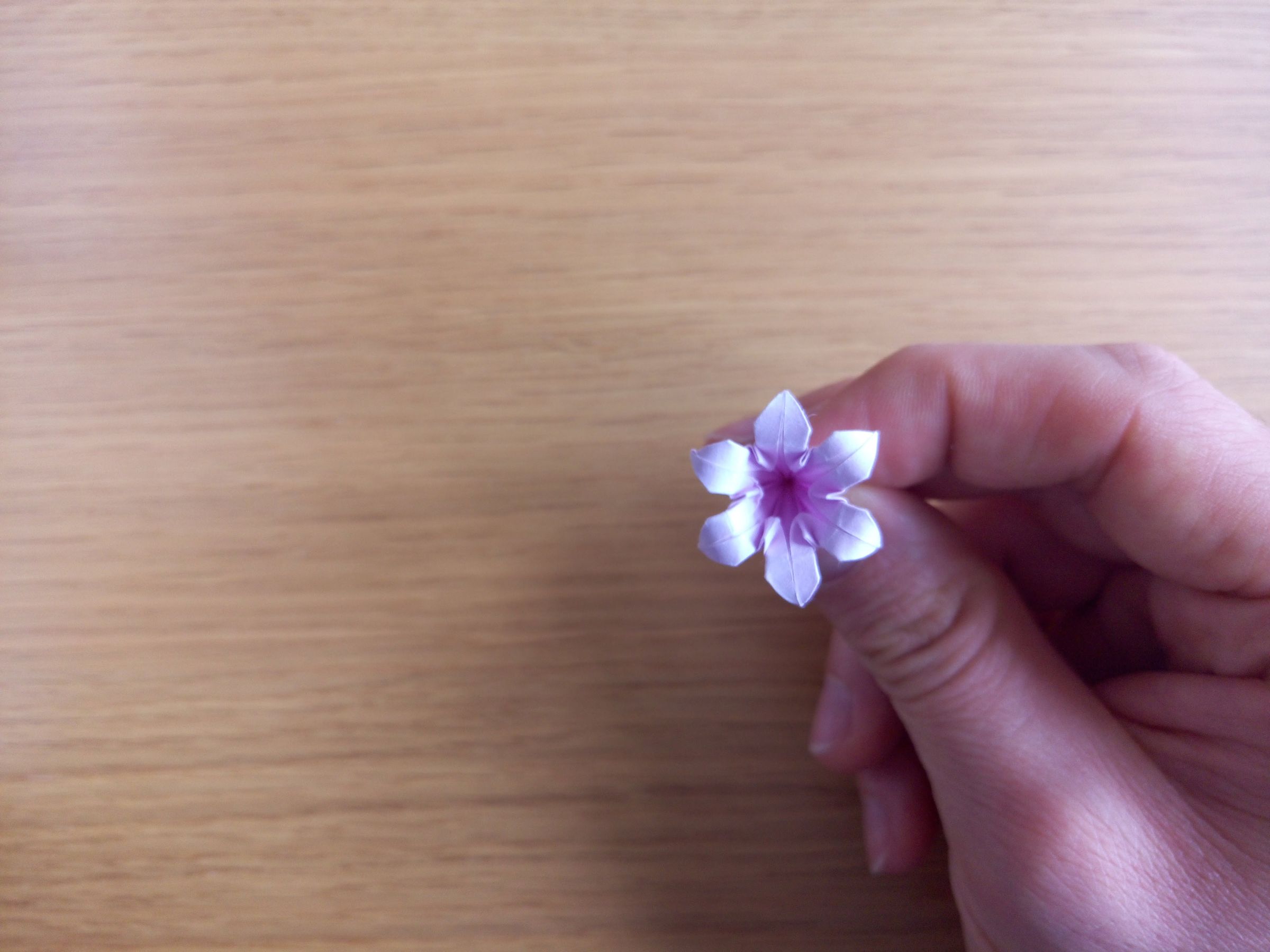 Origami Hyacinth : 9 Steps (with Pictures) - Instructables