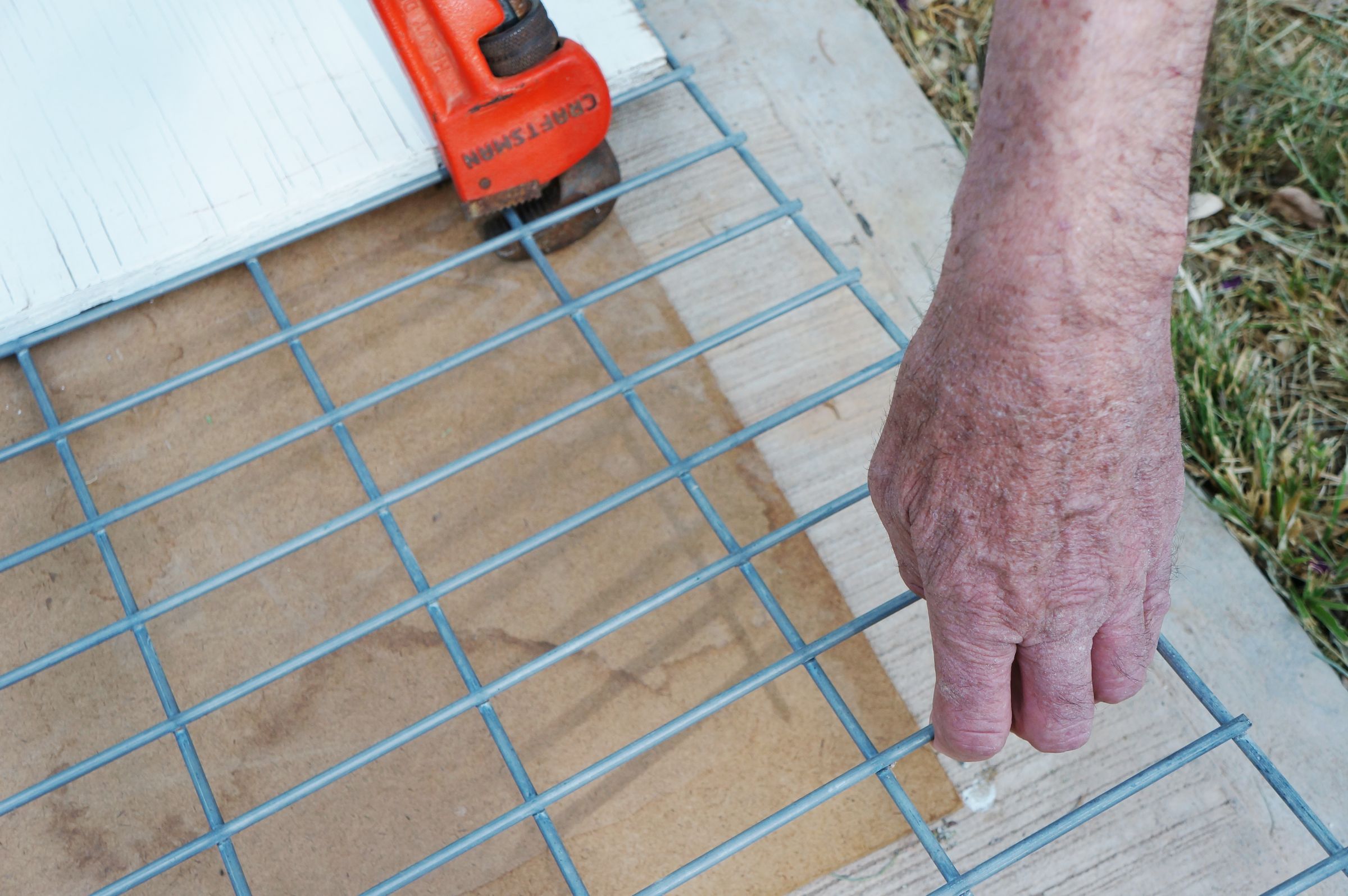 Cheap Easy Dog Run to Build : 6 Steps - Instructables