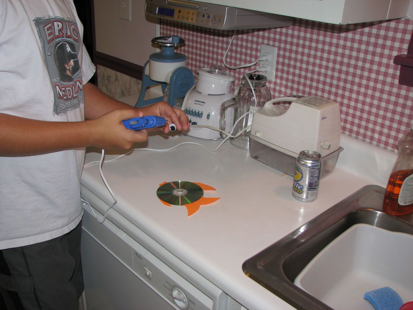 CD ROM Fish Craft : 8 Steps (with Pictures) - Instructables