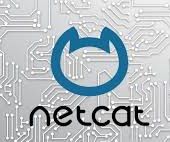 netcat in python DIY Project - Step-by-Step DIY Project | FindingDIY