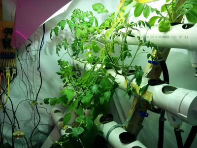 How to Build a Basement Hydroponic Garden : 20 Steps - Instructables