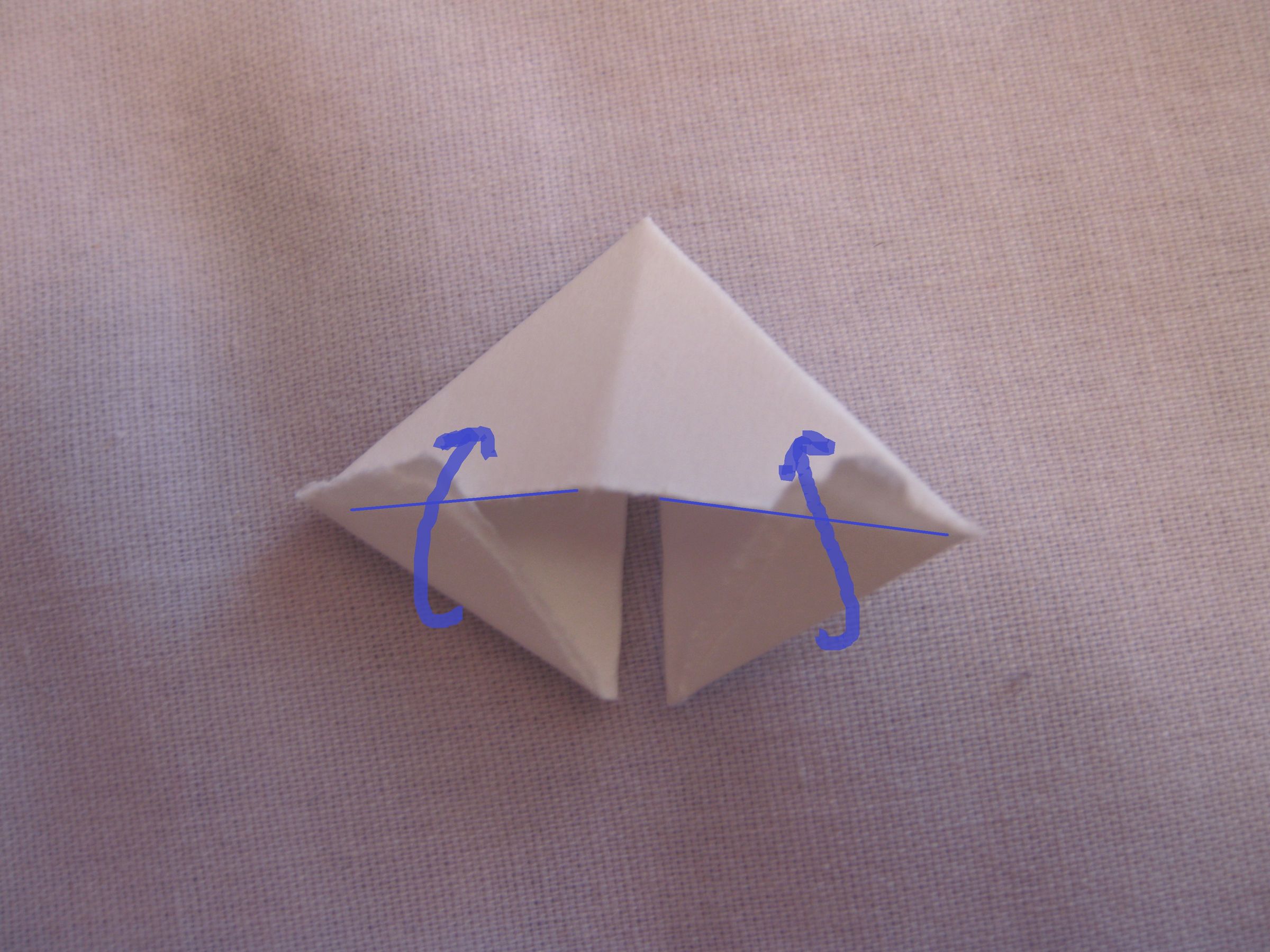 Modular Origami Swan : 11 Steps (with Pictures) - Instructables