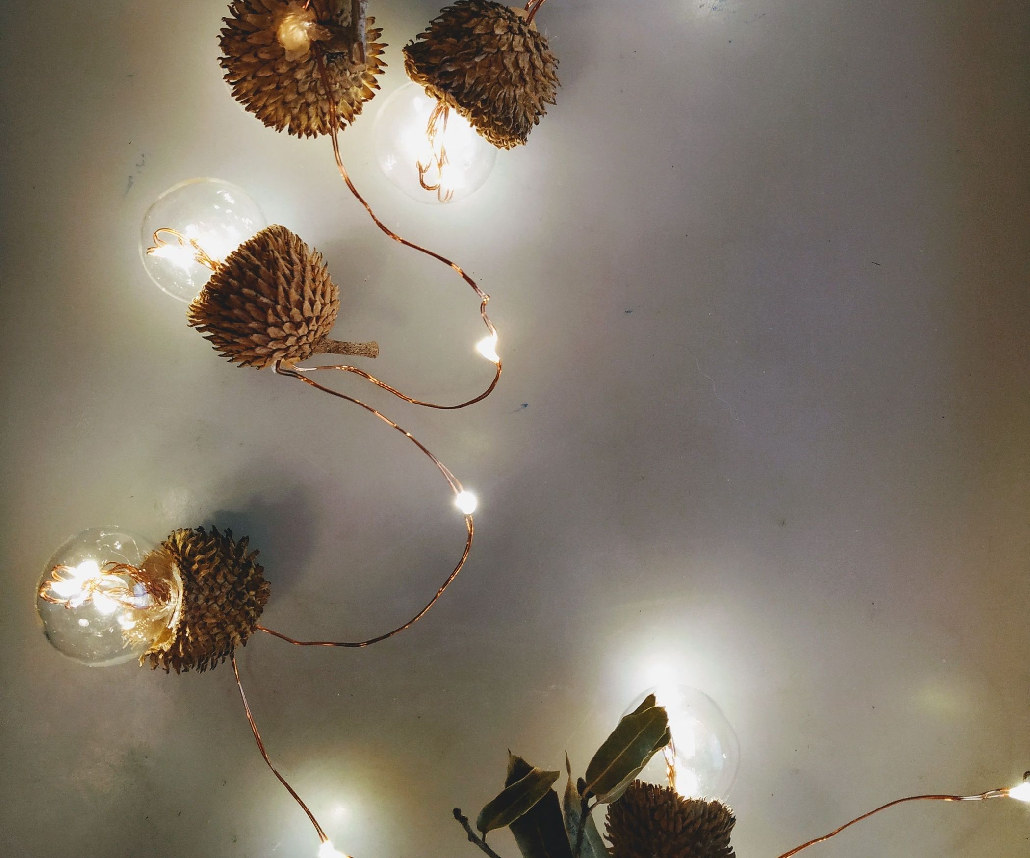 Tiny Acorn Light Bulbs!!! : 3 Steps (with Pictures) - Instructables