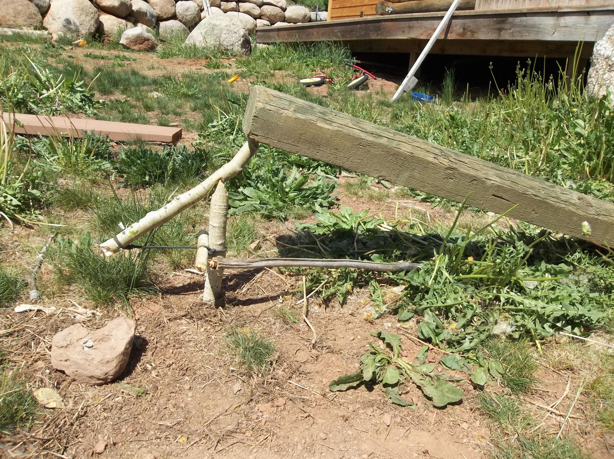 Paiute Deadfall Trap : 4 Steps (with Pictures) - Instructables