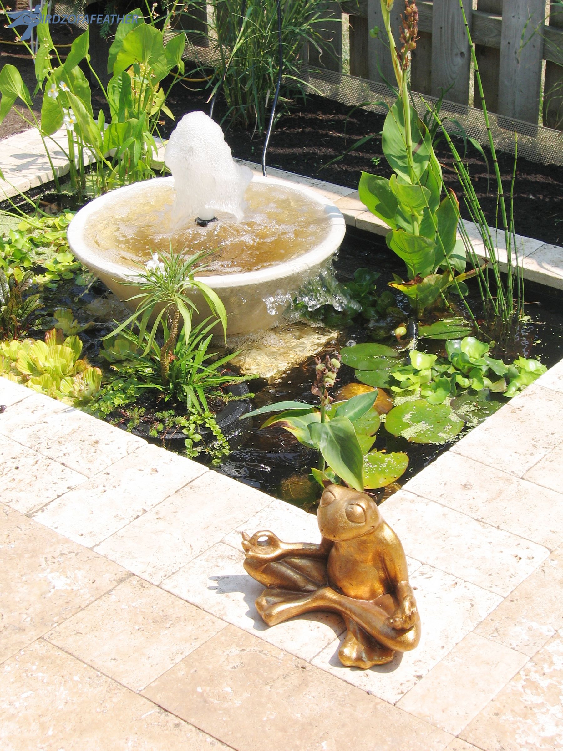 Create a Fountain That Floats on Water : 12 Steps (with Pictures ...