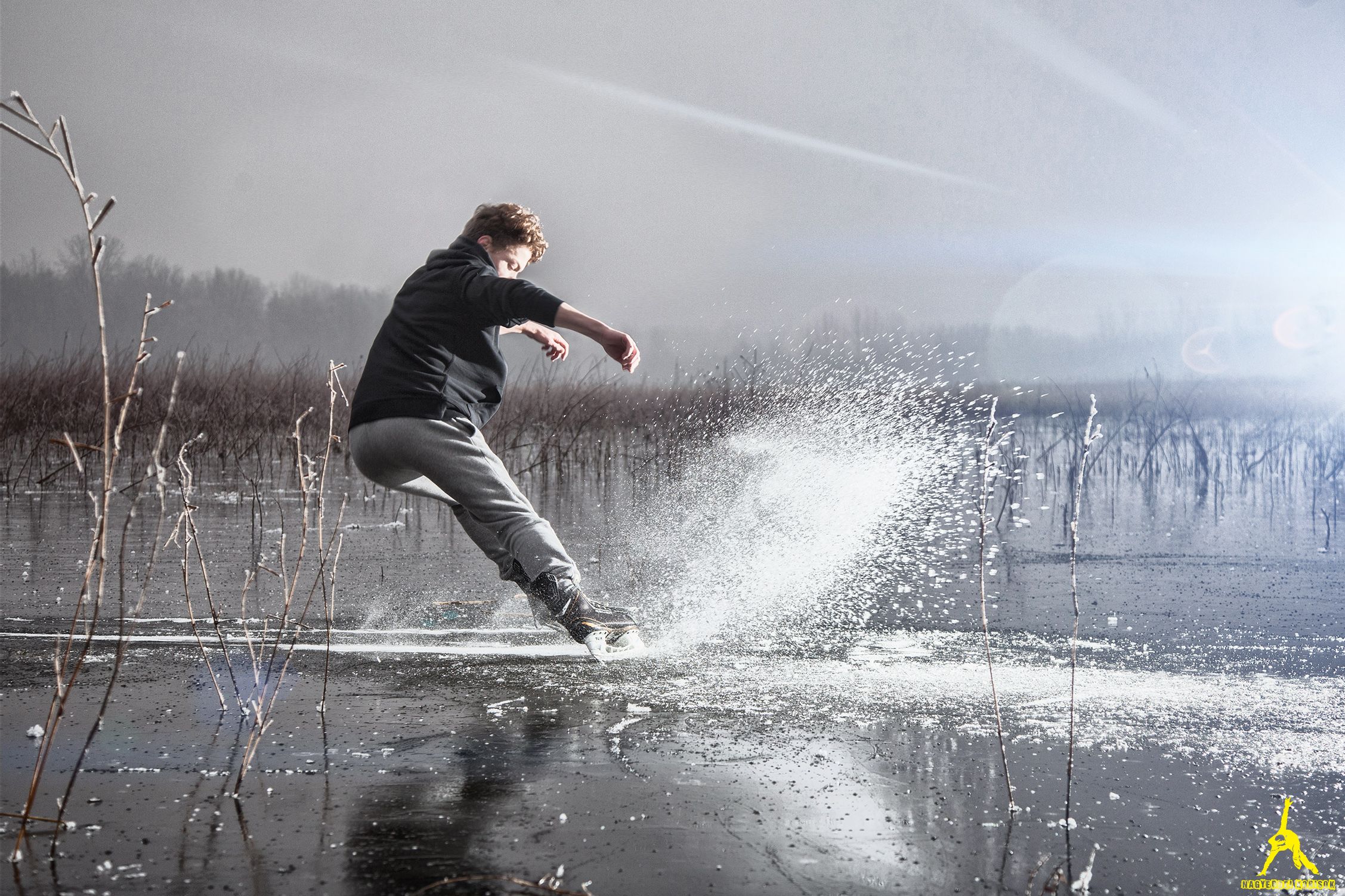 Ice Hockey Skates Stopping