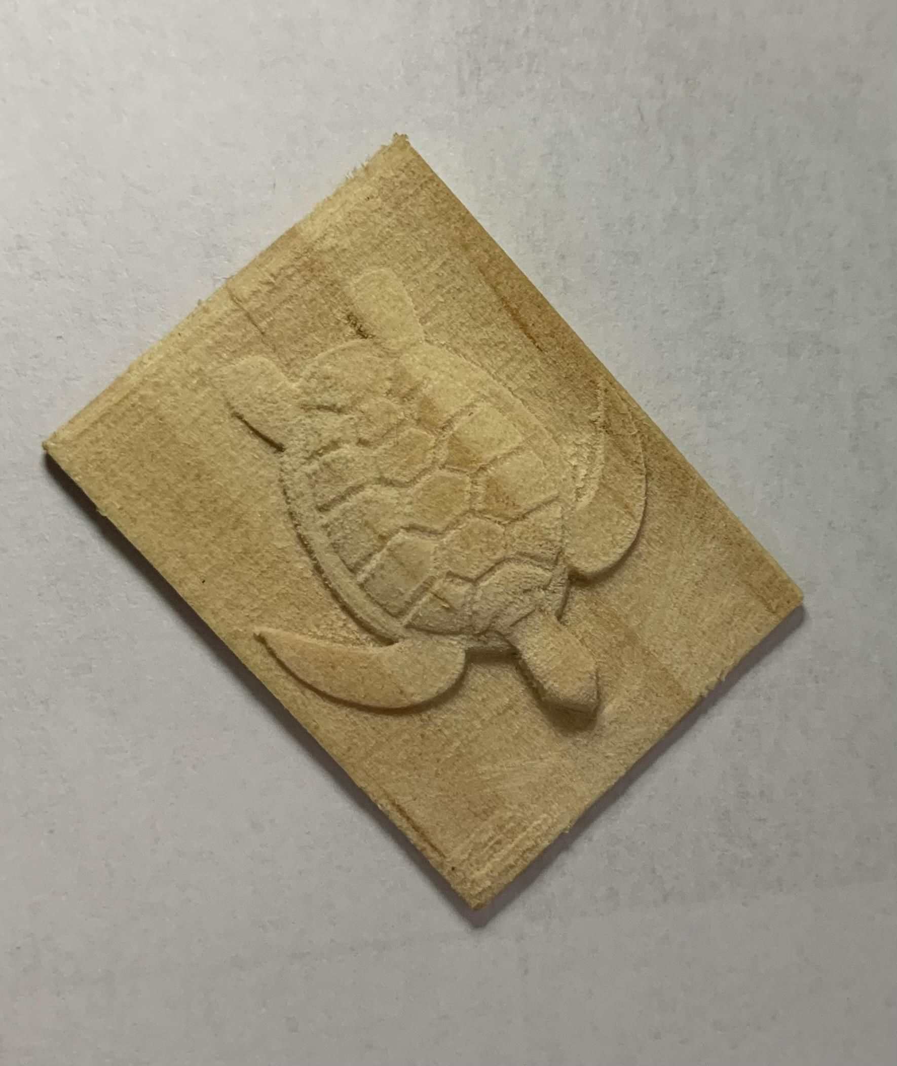 Machined Tiny Turtles for Arts and Crafts : 4 Steps (with Pictures ...