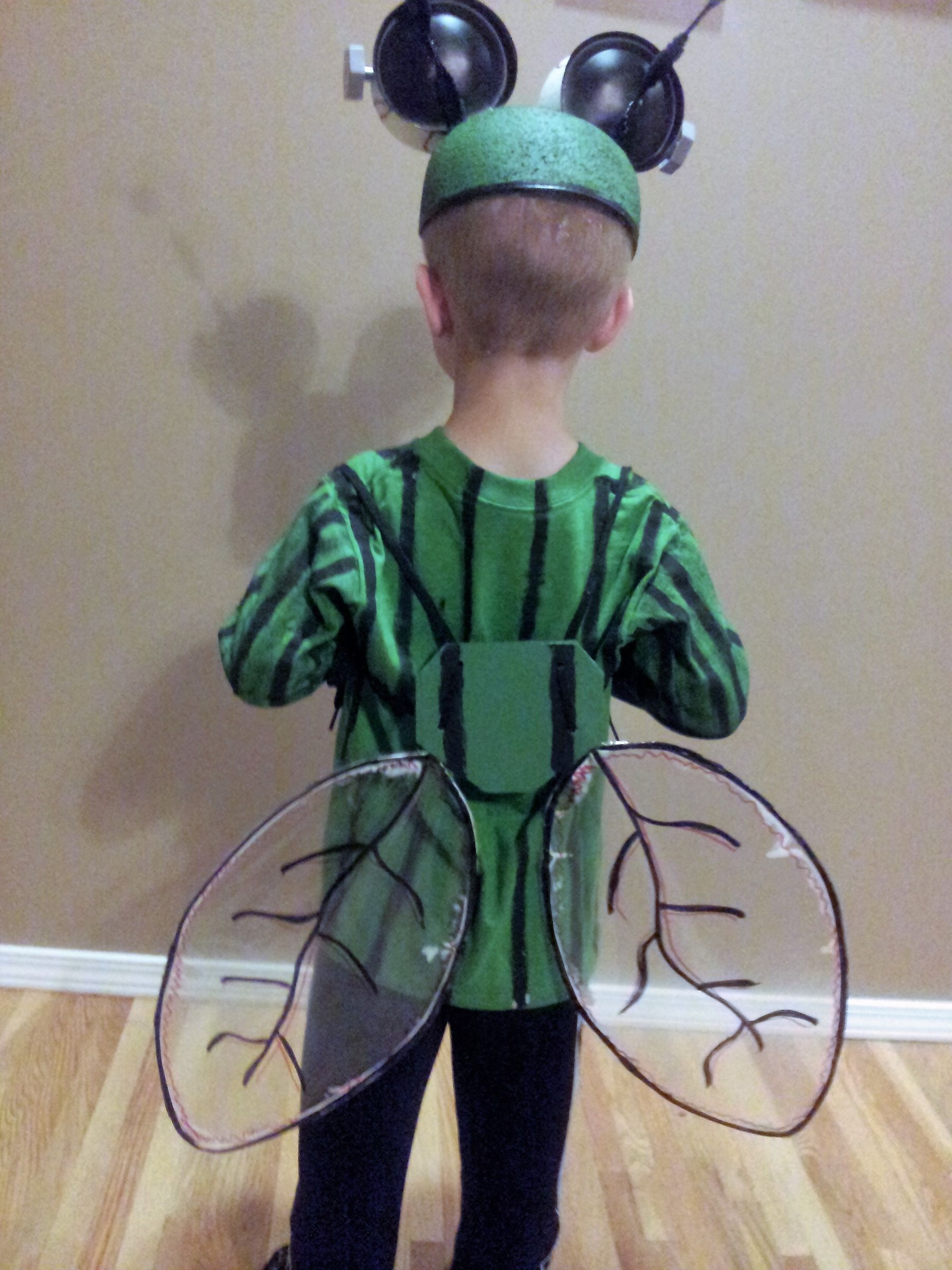 Easy 'Fly Guy' Book Series Kids Halloween Costume - Frankenfly : 6 ...