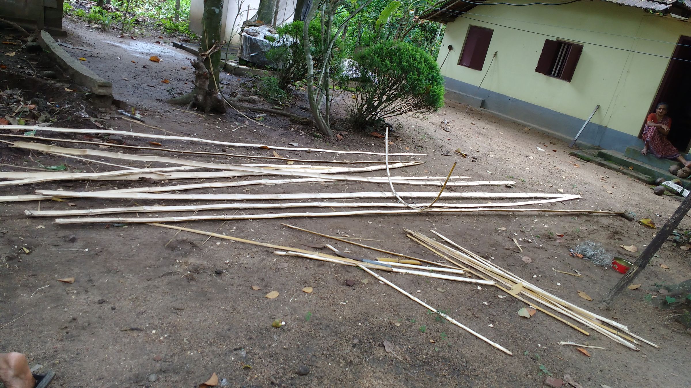 Bamboo Canoe : 6 Steps (with Pictures) - Instructables