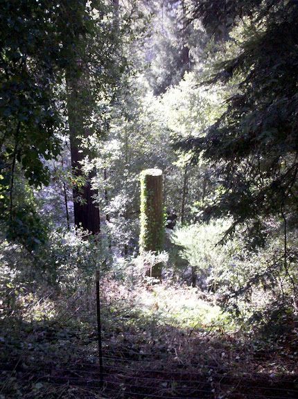 best of instructables: weird inventions DIY Project - Step-by-Step DIY Project | FindingDIY