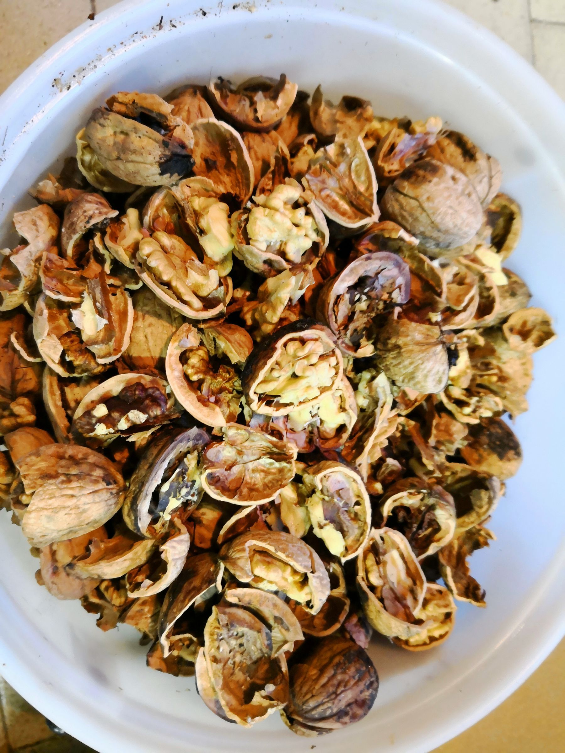 Adjustable Nut Cracking Machine : 6 Steps (with Pictures) - Instructables