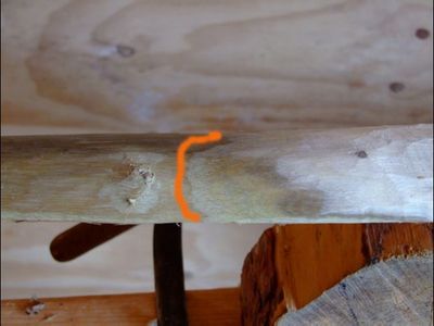 How to Make a Black Locust Bow : 16 Steps (with Pictures) - Instructables