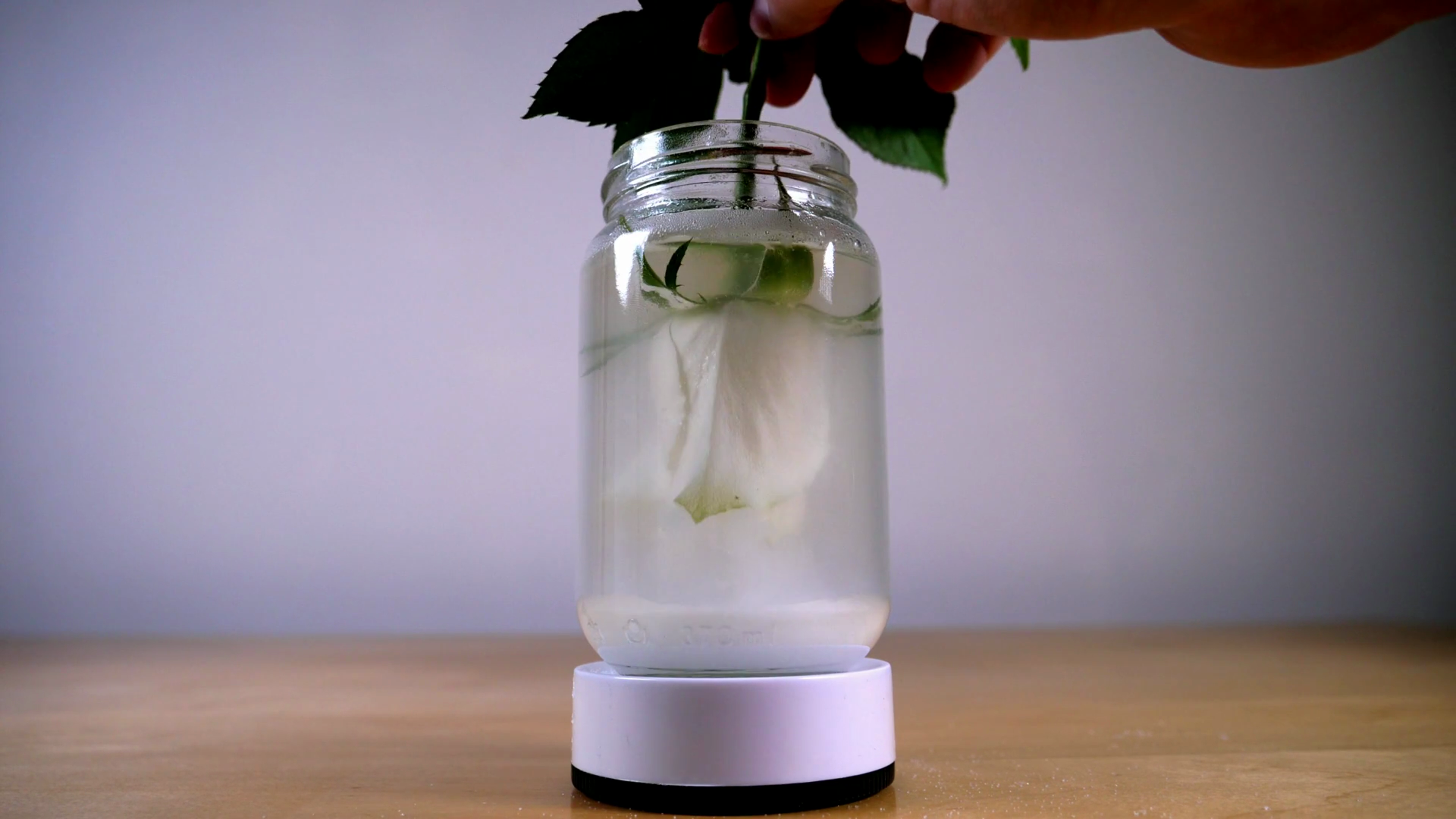 Flower Crystallization : 8 Steps (with Pictures) - Instructables