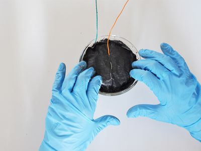 Create Your Own Mud Battery / Bouw Je Eigen Modderbatterij : 8 Steps ...