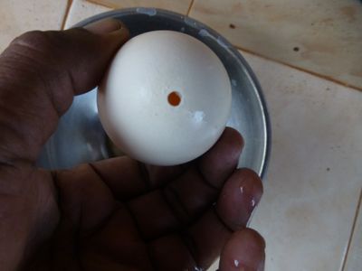 Decorative Drilling on Chicken Eggs : 7 Steps (with Pictures ...