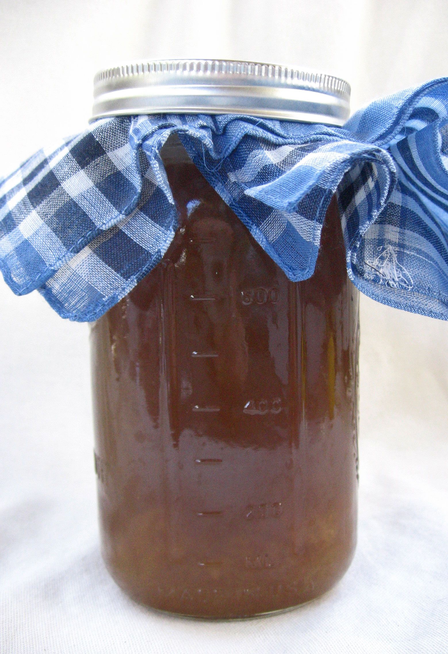 How to Make Authentic Water Kefir : 7 Steps (with Pictures) - Instructables