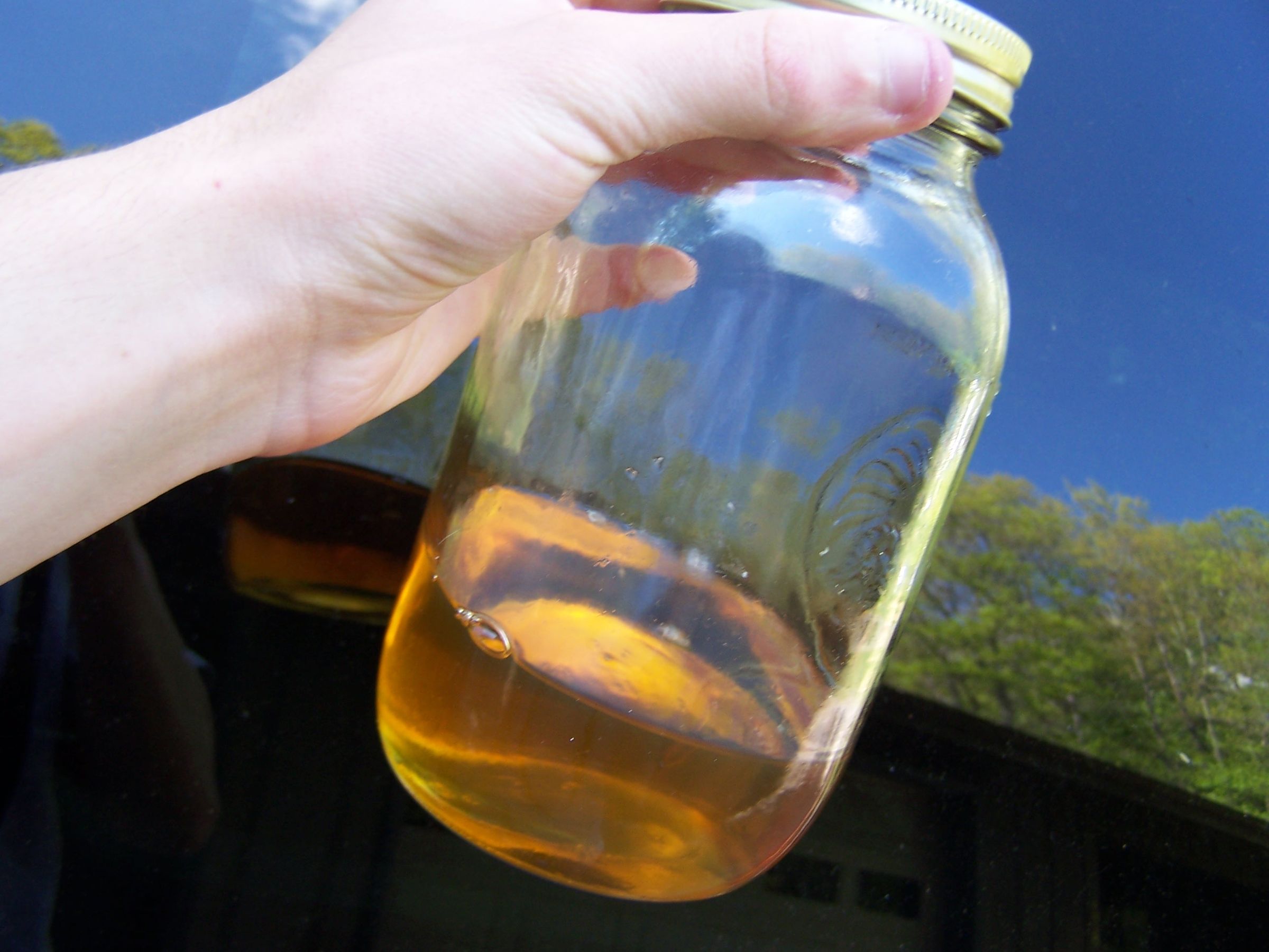 Make Biodiesel! : 8 Steps (with Pictures) - Instructables