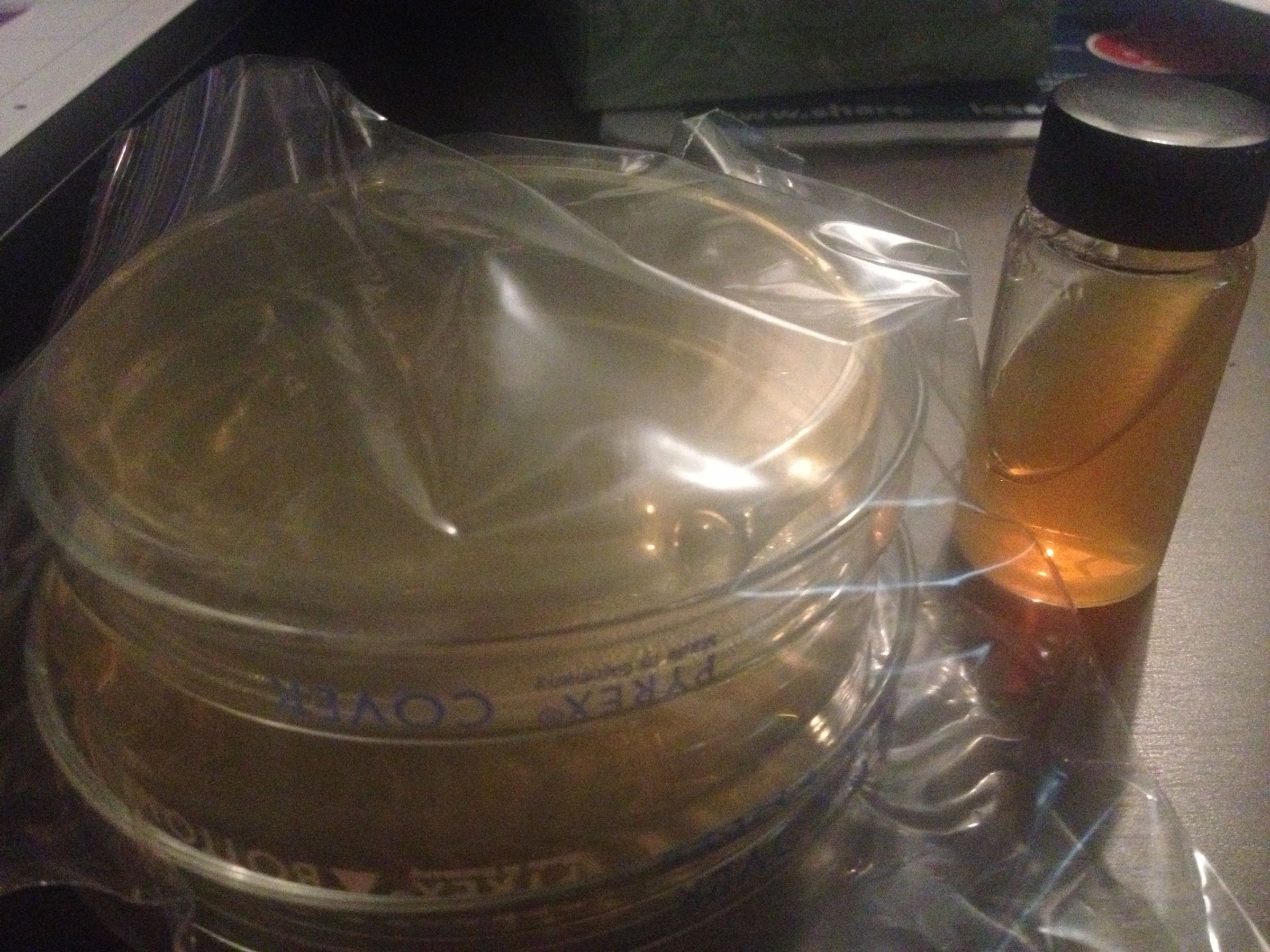 How to Make Solid Culture Medium Plates for Yeast Culture : 8 Steps ...