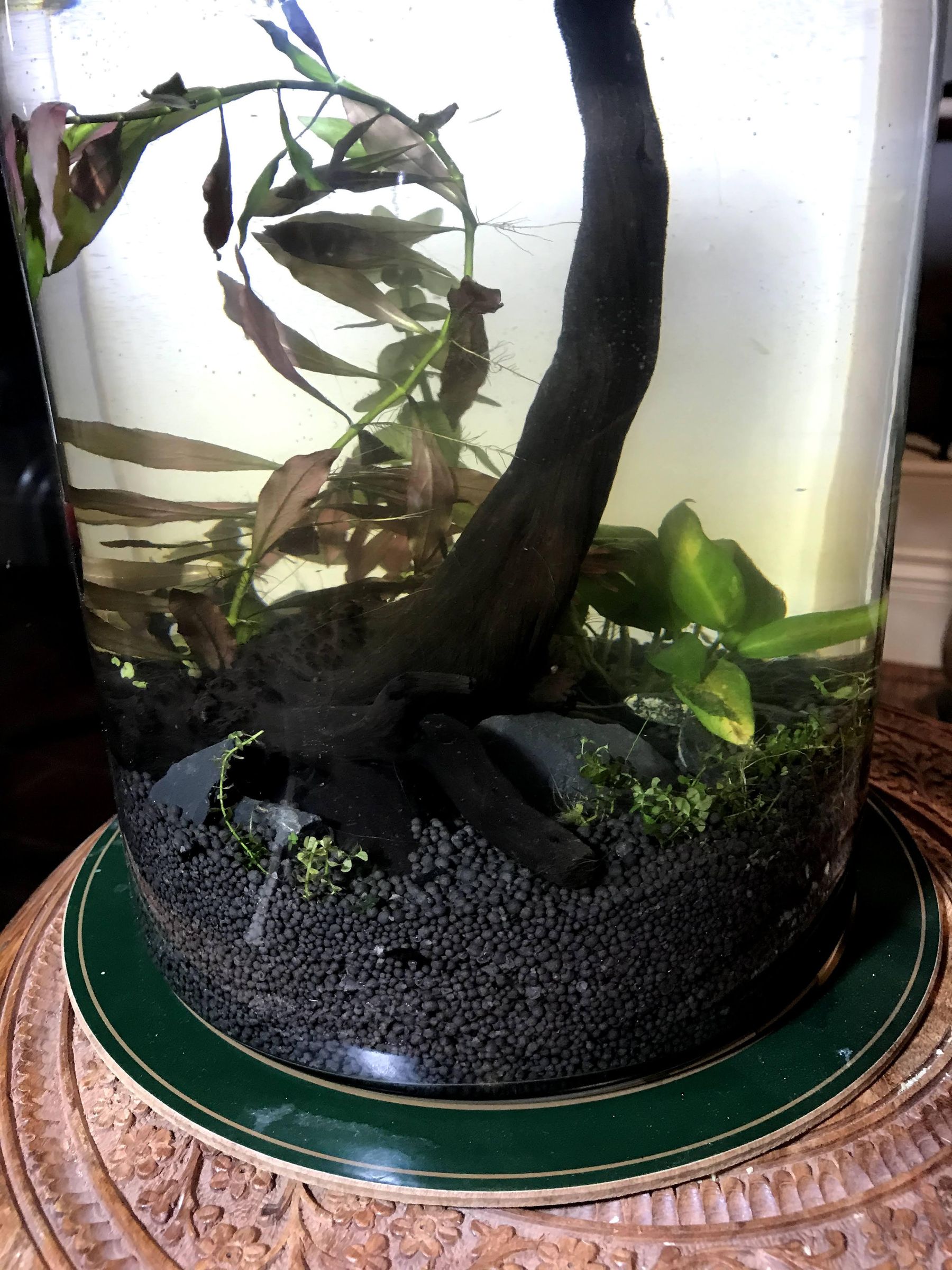 How to Make a Jarrarium : 4 Steps (with Pictures) - Instructables