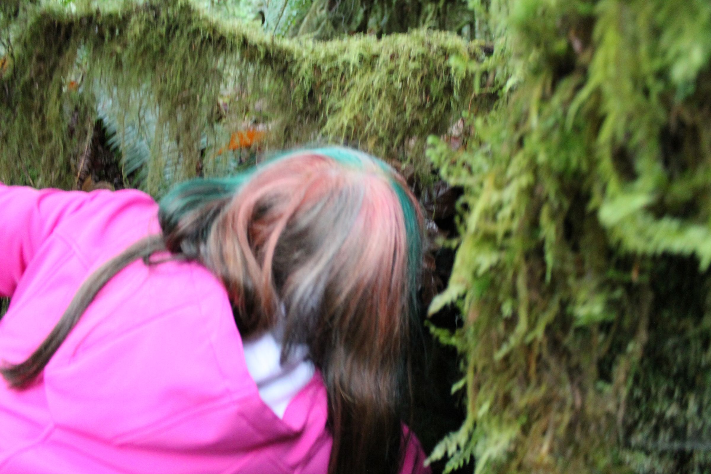 Letterboxing: the Secret Scavenger Hunt Game : 12 Steps (with Pictures ...