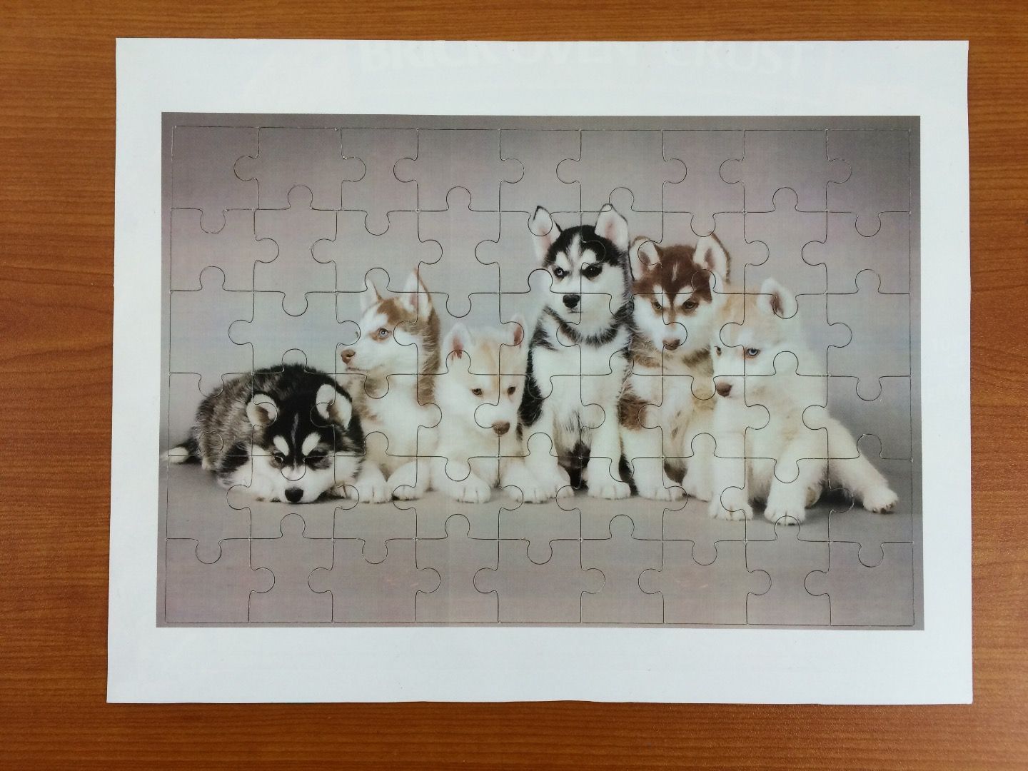 DIY Jigsaw Puzzle : 5 Steps - Instructables