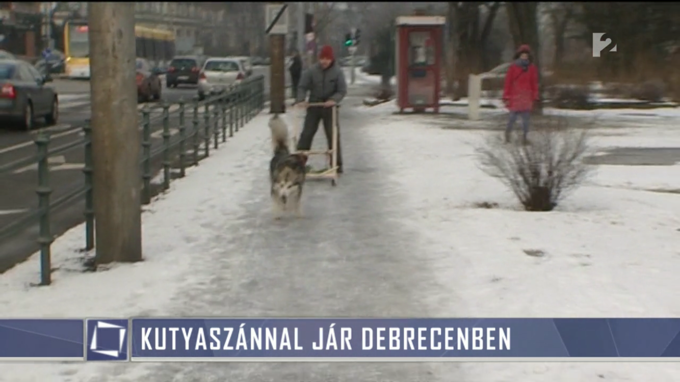 Homemade Dogsled (kicksled) : 8 Steps (with Pictures) - Instructables