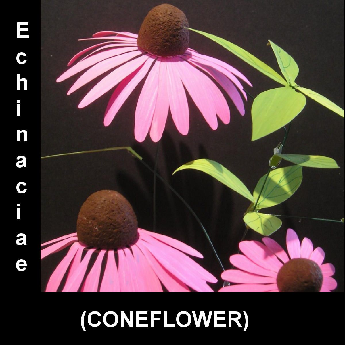 Make Bouquets of Paper Flowers : 15 Steps (with Pictures) - Instructables