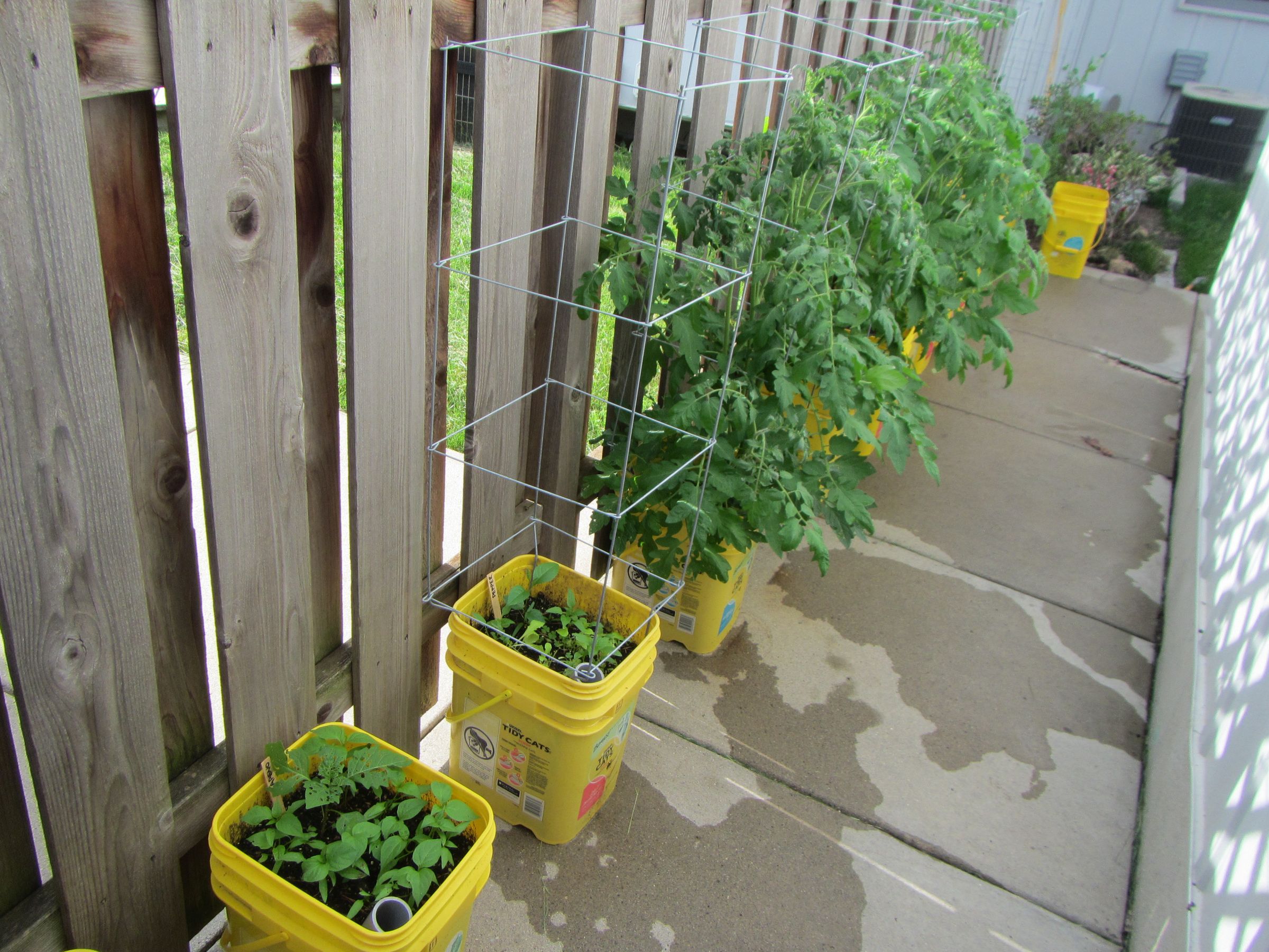 Self-watering Container Garden : 5 Steps (with Pictures) - Instructables