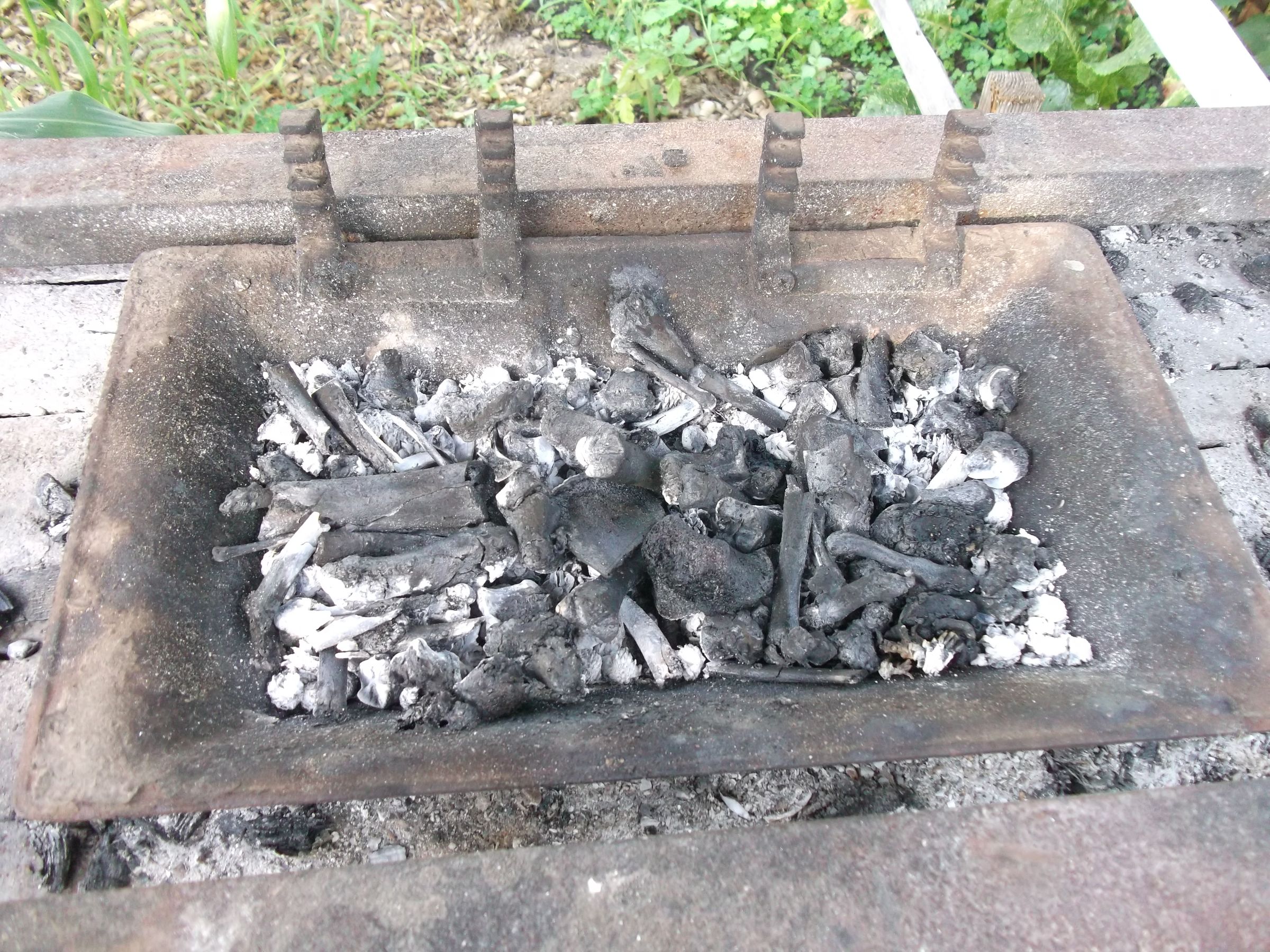 Processing Animal Bones for Composting (the Easy Way) : 7 Steps (with ...