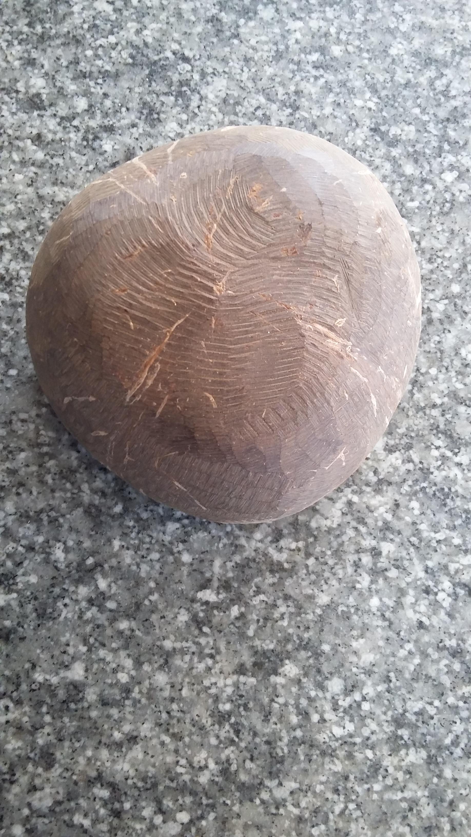 Coconut Shell Music Instrument : 12 Steps - Instructables