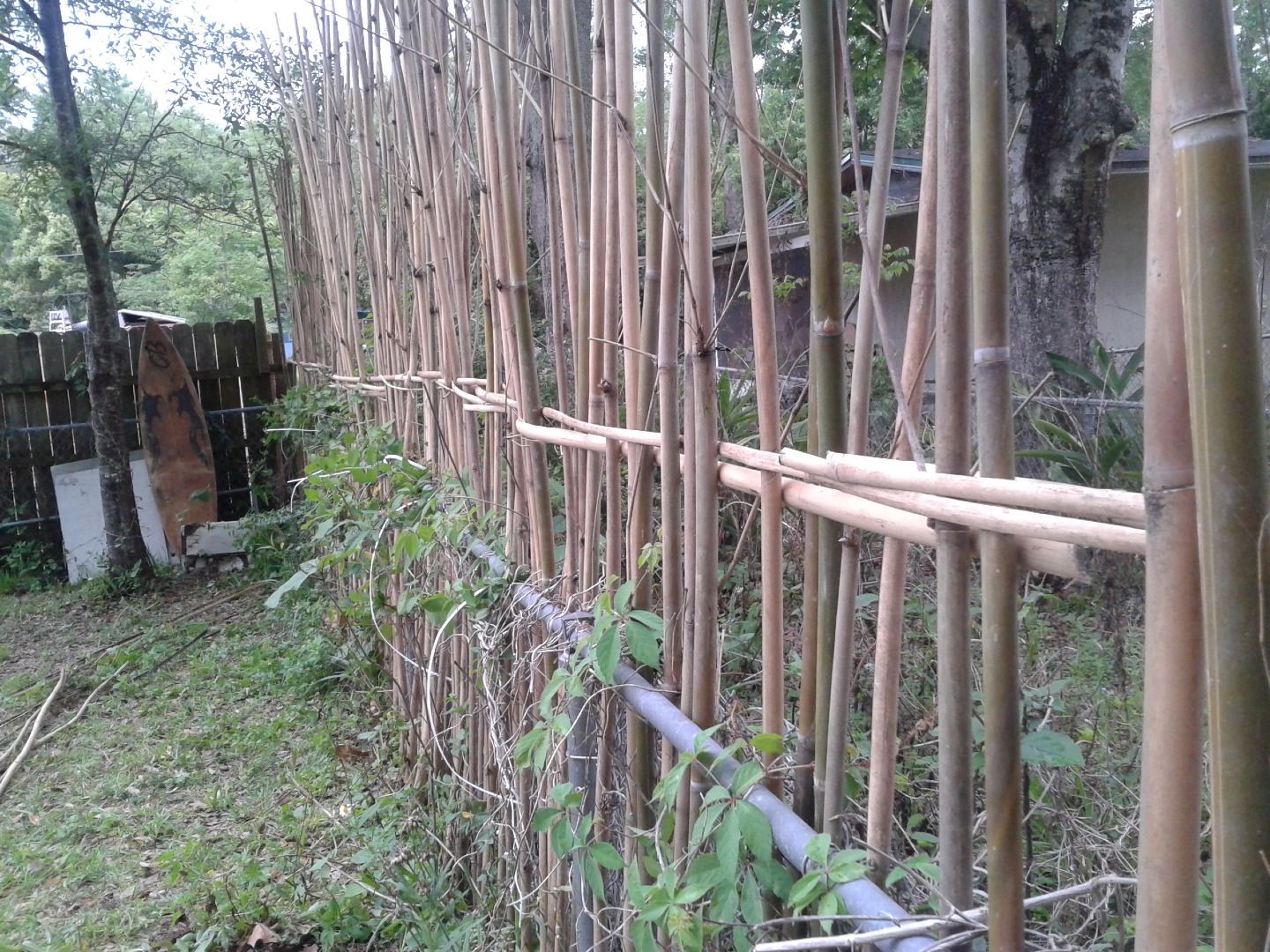 Weave a Bamboo Privacy Fence : 7 Steps (with Pictures) - Instructables