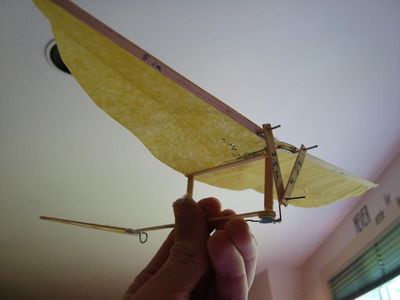 Ornithopter : 8 Steps (with Pictures) - Instructables