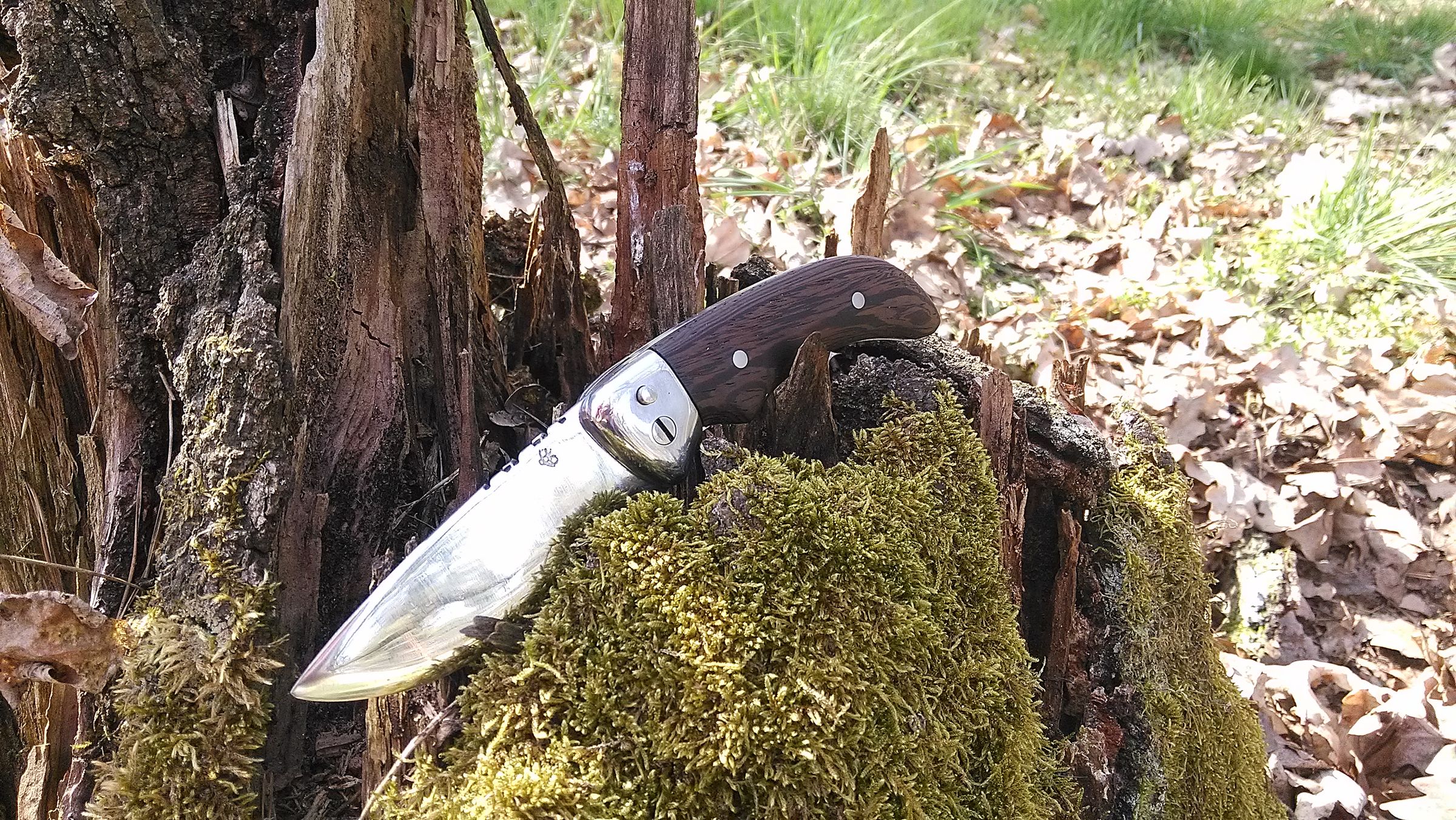 DIY Folding Knife With Button Lock : 11 Steps (with Pictures ...