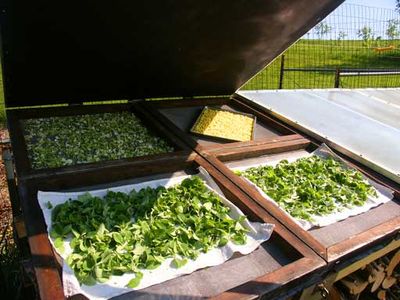 A Radiant Solar Food Dehydrator That Doesn't Fight Physics ...