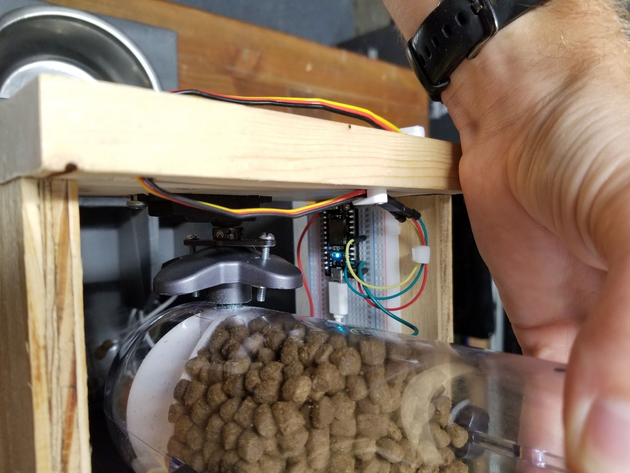 IoT Cat Feeder Using Particle Photon Integrated With Alexa, SmartThings, IFTTT, Google Sheets ...