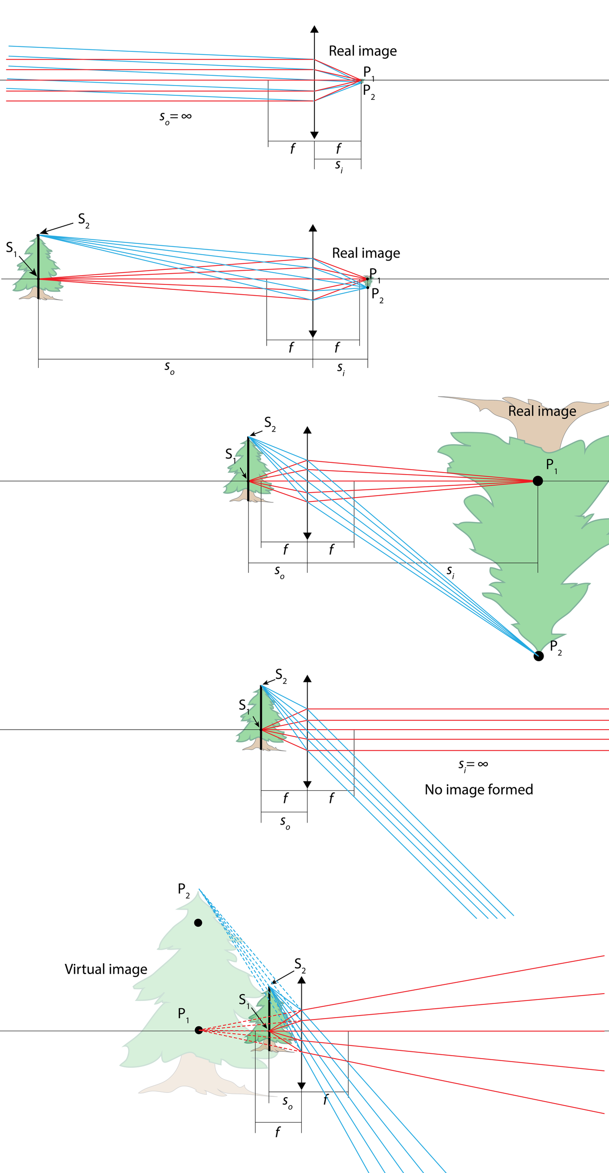 Low-cost Fluorescence and Brightfield Microscopes : 9 Steps (with ...