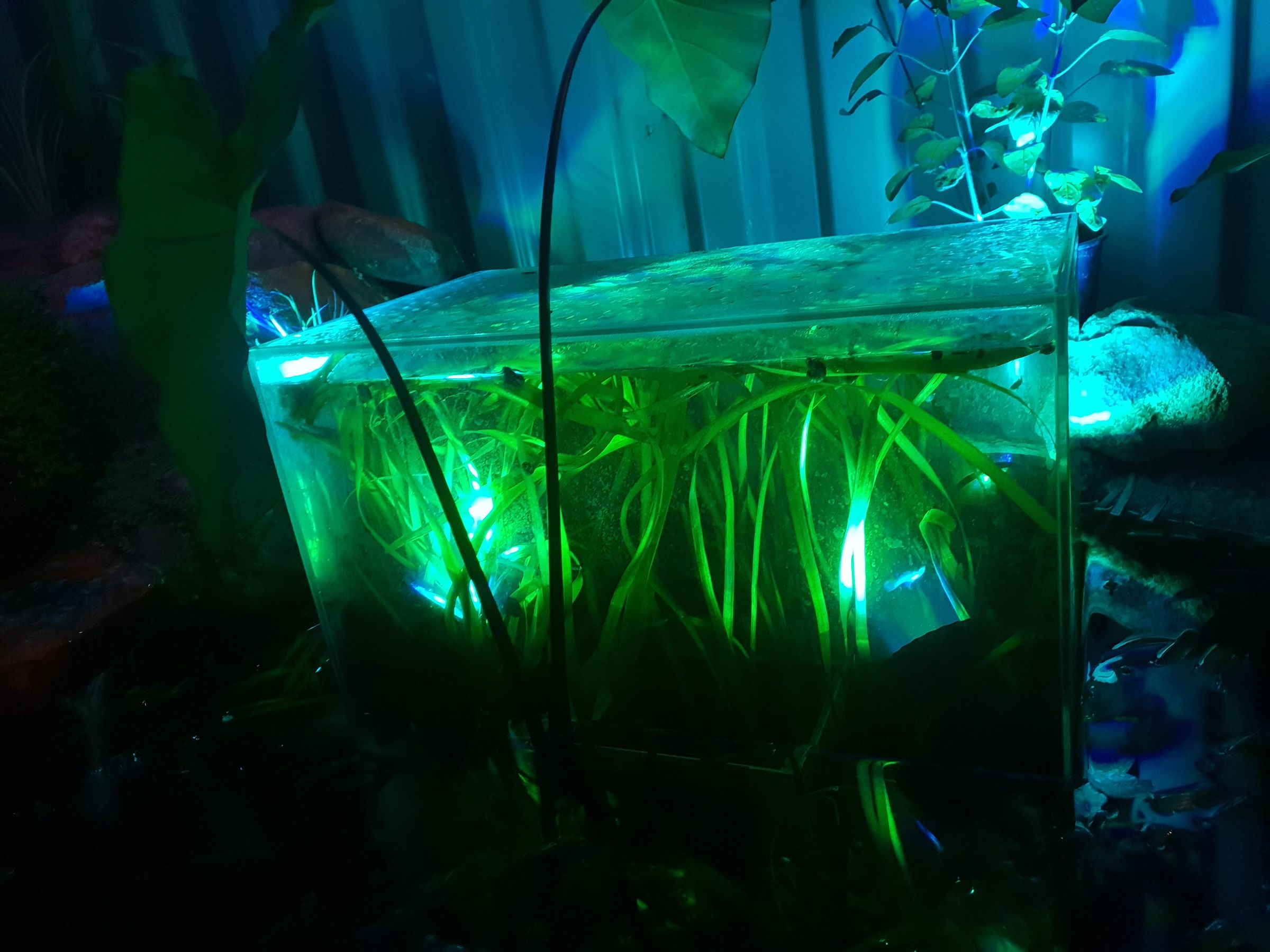 Inverted Fish Tank Tower : 5 Steps (with Pictures) - Instructables
