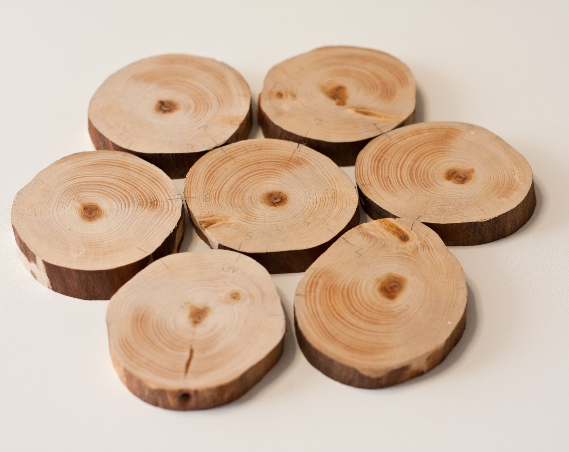 Wooden Branch Trivet : 10 Steps (with Pictures) - Instructables