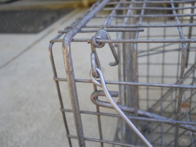 Remote Control Cage Trap : 5 Steps (with Pictures) - Instructables