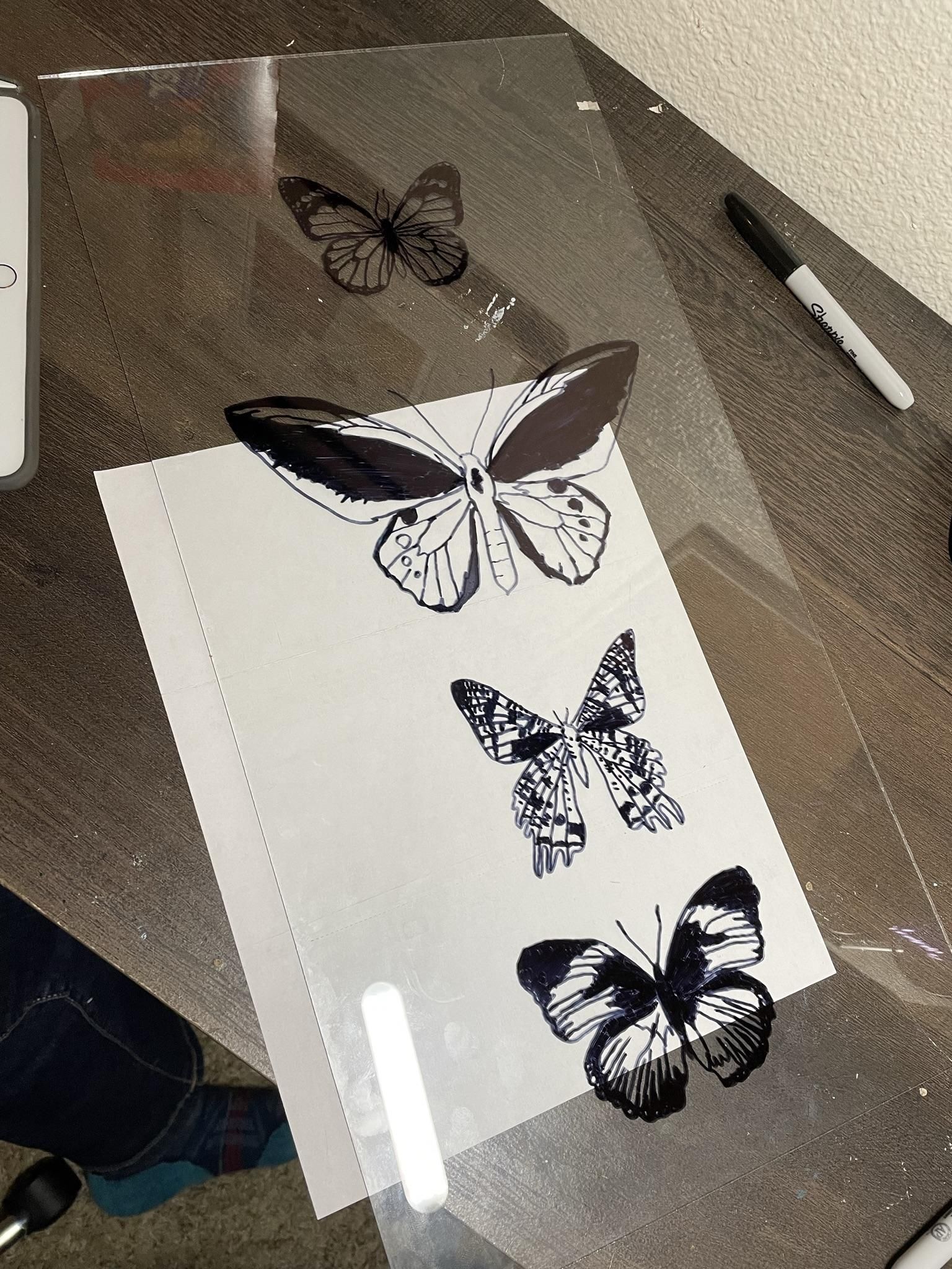 Painted Butterfly Mounts : 6 Steps (with Pictures) - Instructables
