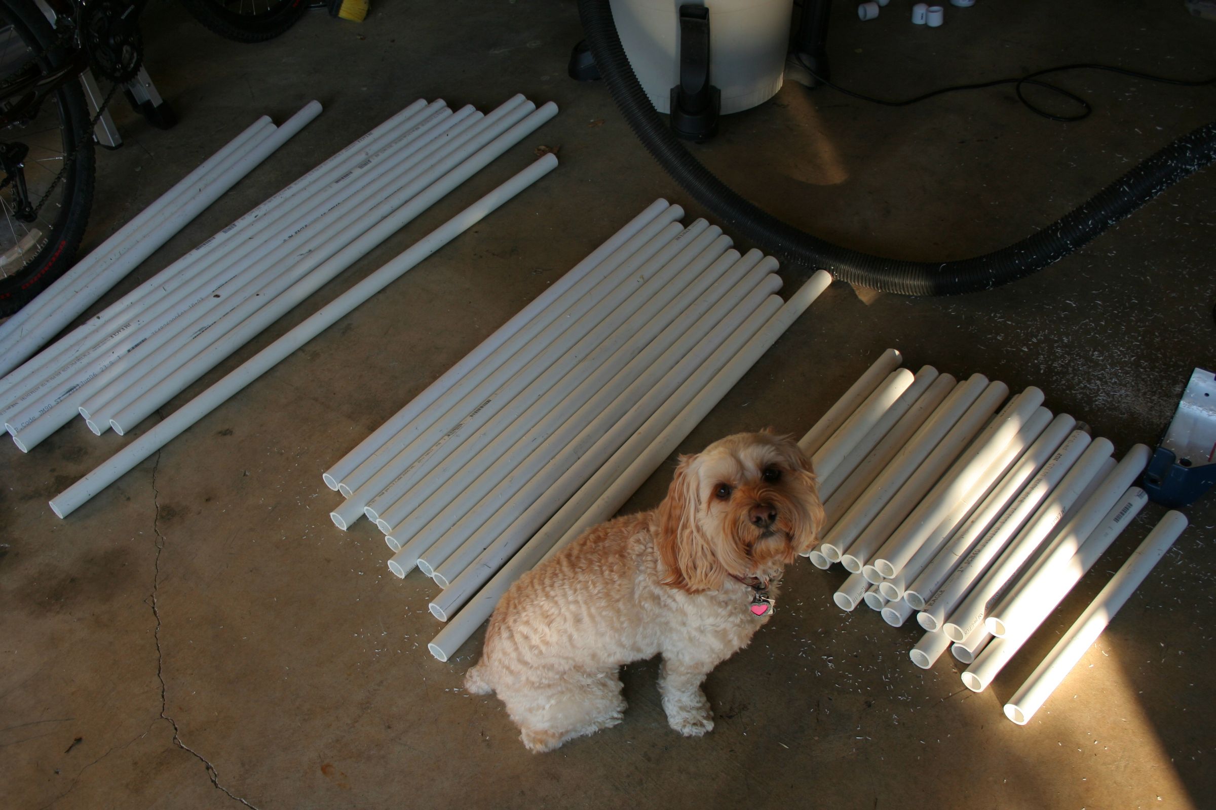 Dog Agility Jump : 8 Steps (with Pictures) - Instructables