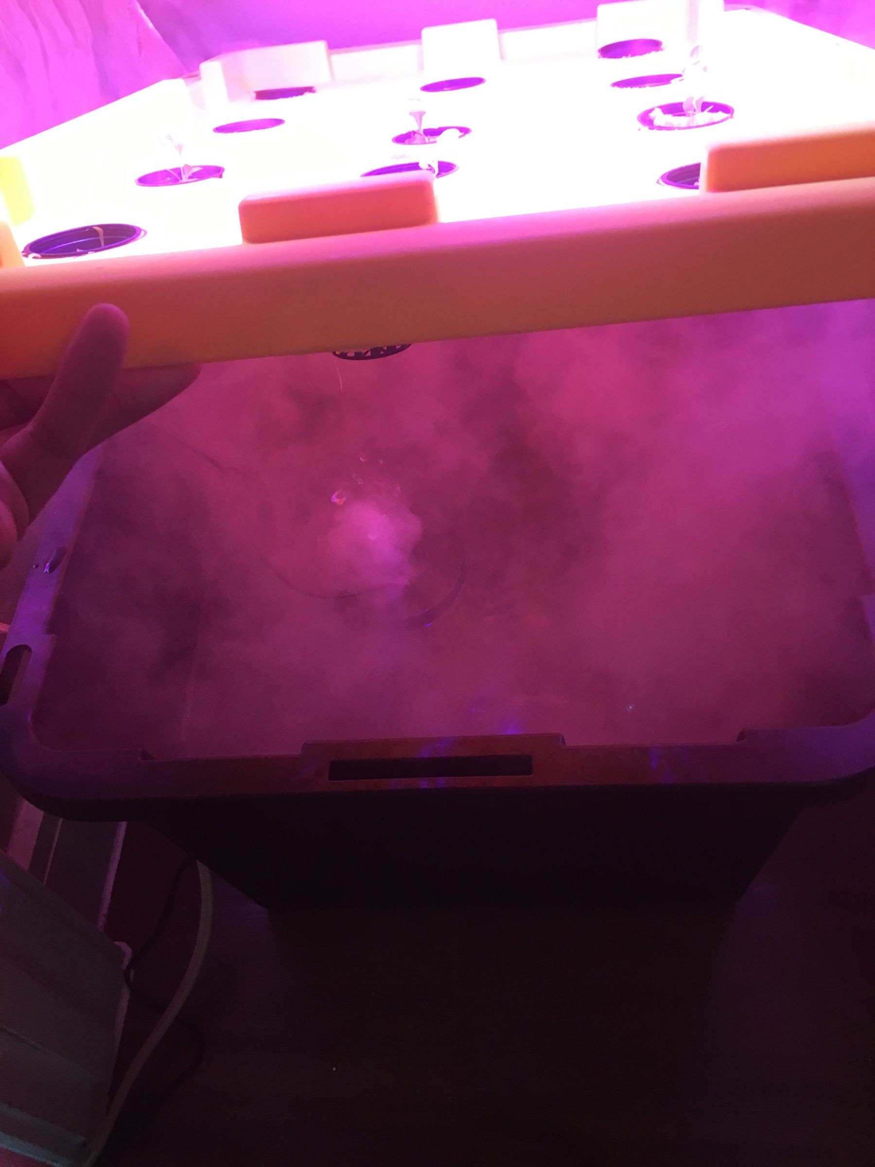 TRUE Aeroponics - Simple Indoors Low Water Lettuce Growing Fogponics ...