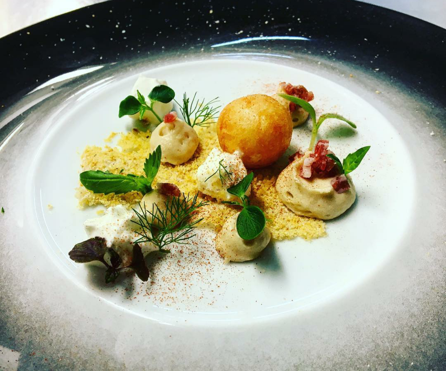 Italian Cheese Garden : 6 Steps - Instructables